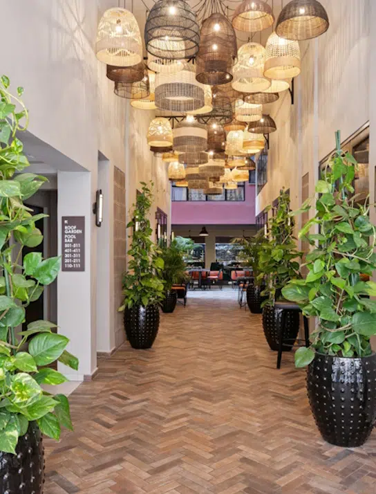 Aluma Hotels & Resorts: Embrace Luxury and Hospitality Culture